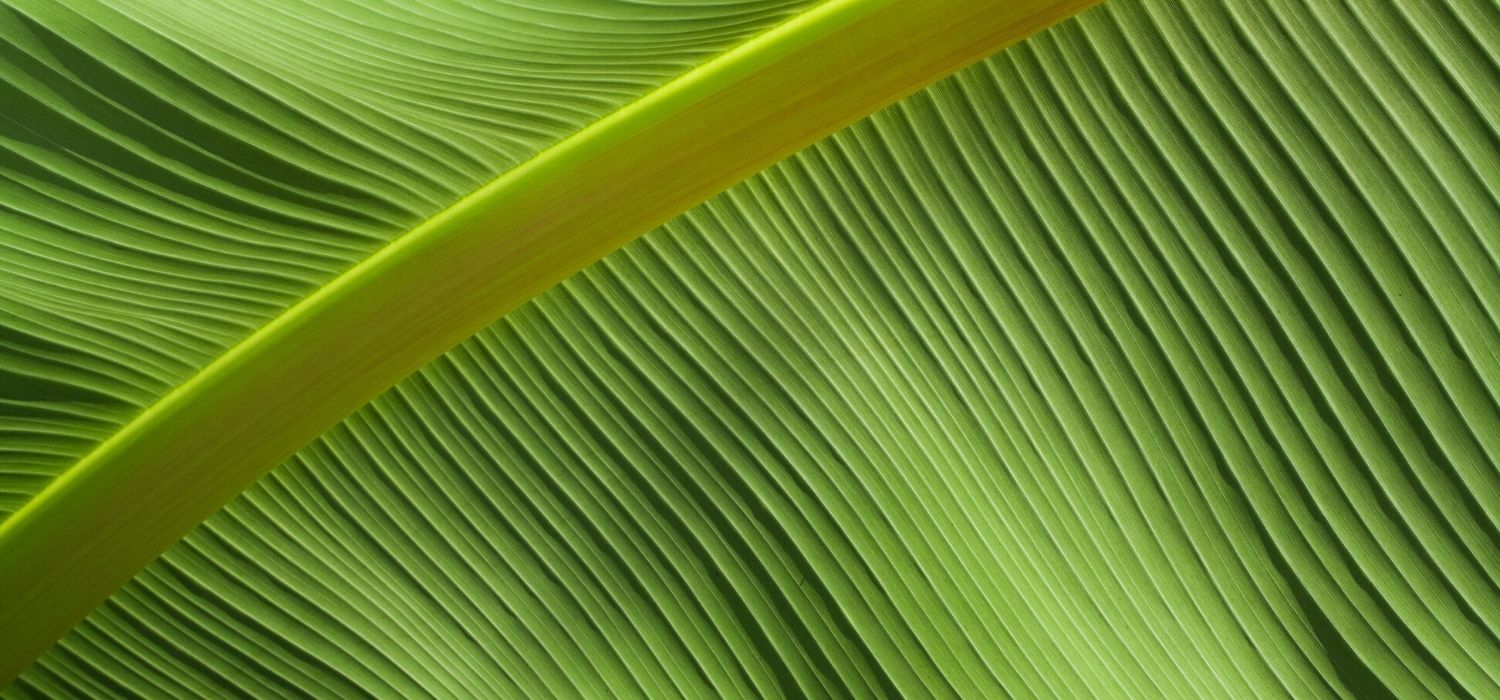 Application Configuration Management With Kustomize Giant Swarm